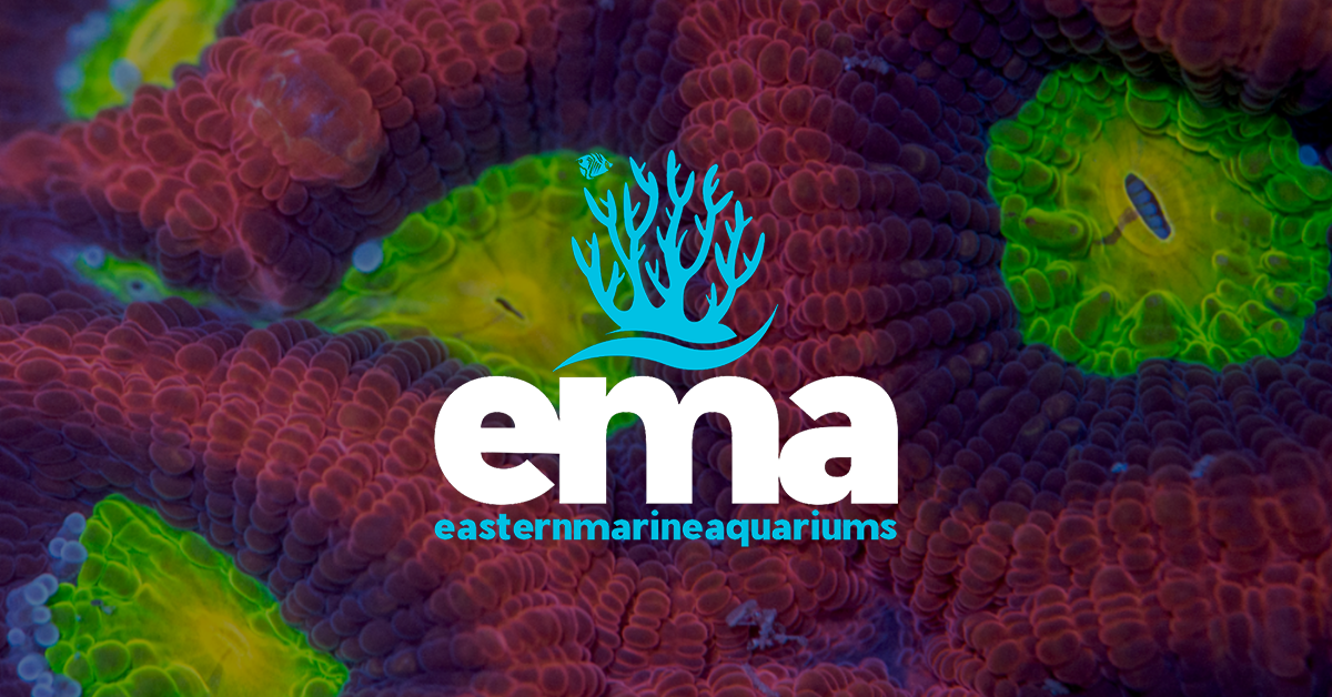 Informational – EasternMarine Aquariums