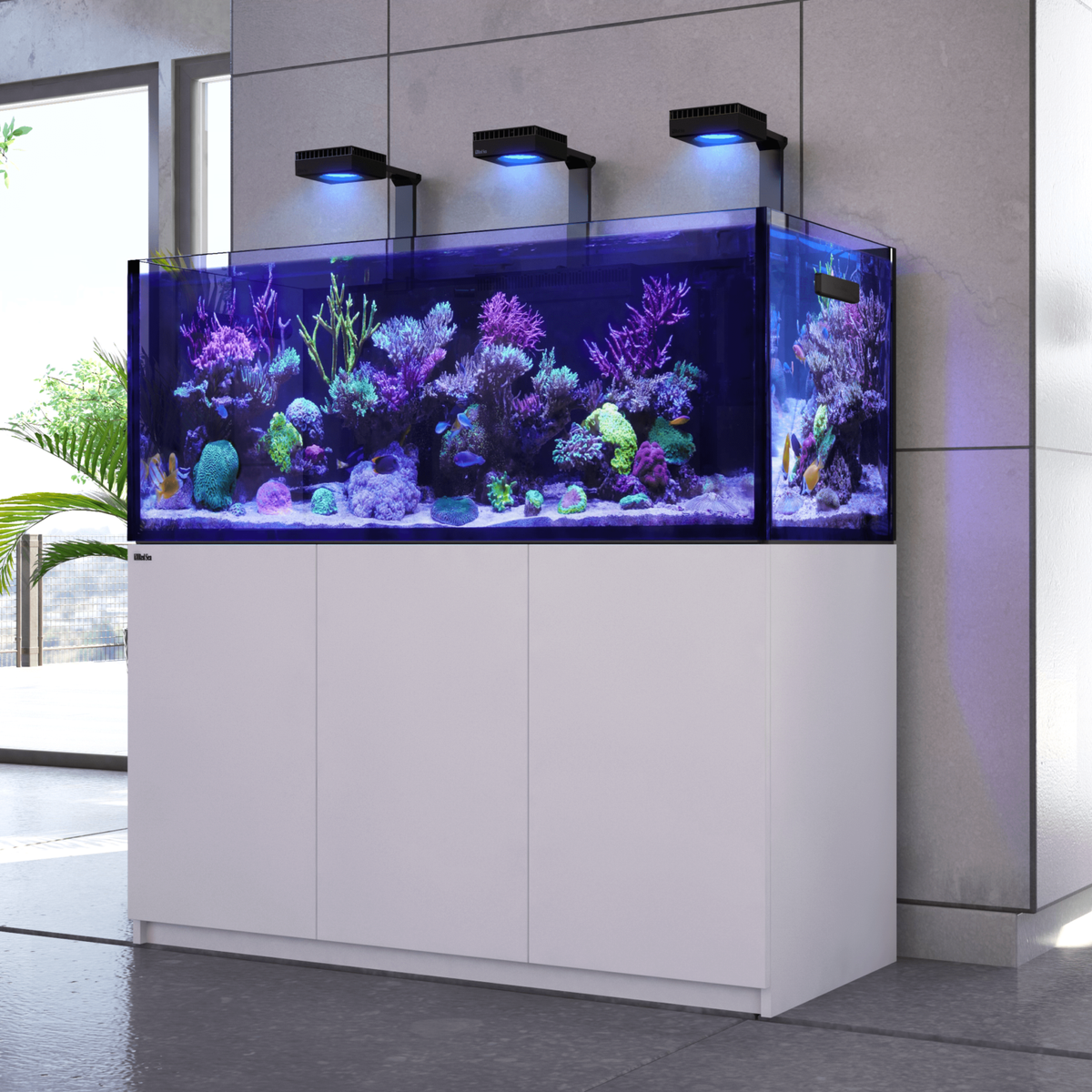 Red Sea Reef Salt vs Coral Pro: Which Is Best for You? – EasternMarine ...