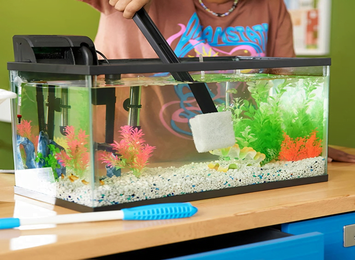 How To Clean Your Fish Tank? – EasternMarine Aquariums